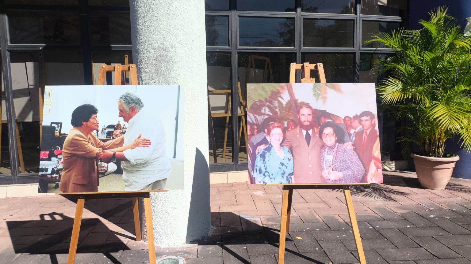Un legado en imágenes: rinden homenaje a la vida de la doctora María ...